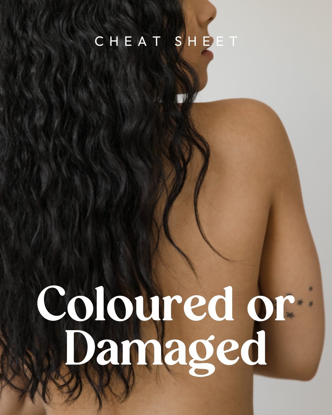 Step by Step Washday Routine for Afro Hair - Curl Maven